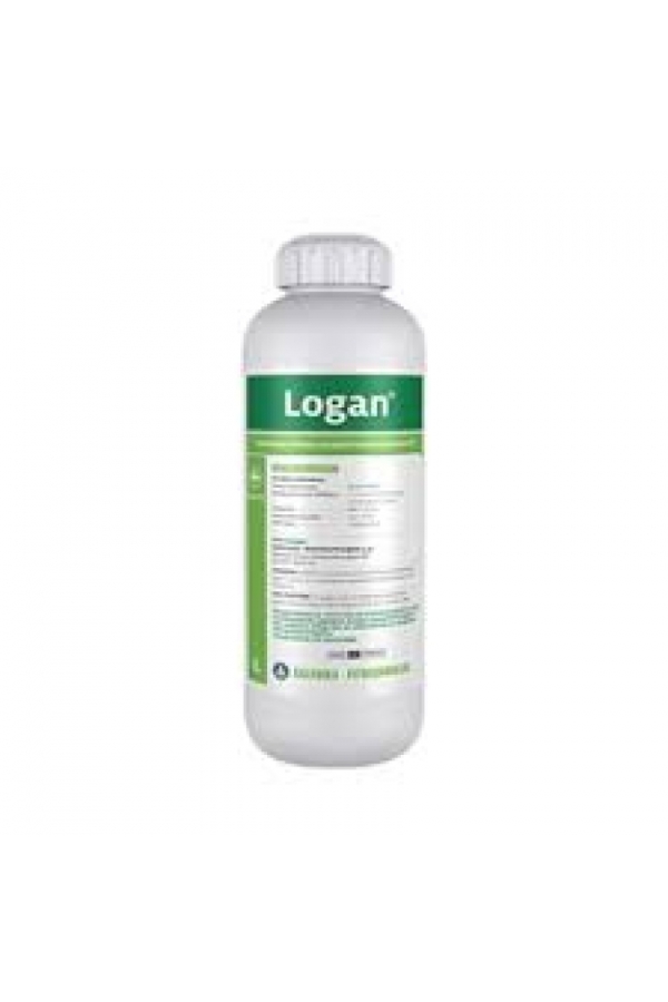LOGAN 500ML
Šifra: 1766 JM: KOM