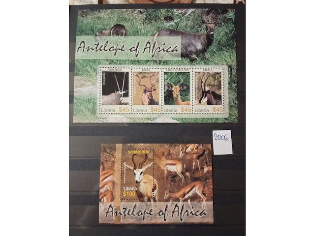 2006 antilope LIBERIJA