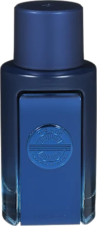 ANTONIO BANDERAS
THE ICON SUPREME EDP - muški parfem, 50 ml