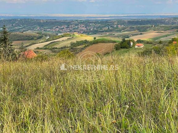 2500m² sa pogledom na grad, Alibegovac, Sremska Kamenica, Građevinski plac van granica GGZ