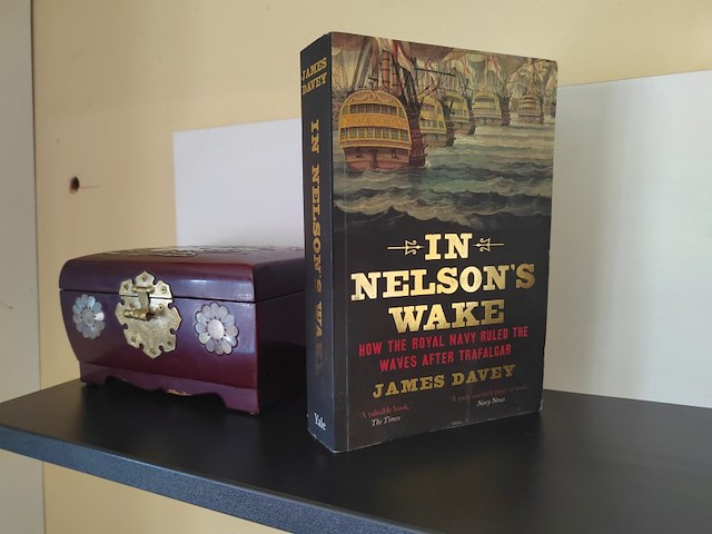 In Nelson`s Wake: The Navy and the Napoleonic Wars