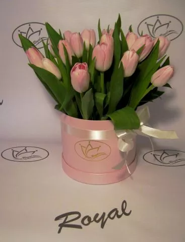 BOX OF FLOWERS SA ROZE LALAMA 329