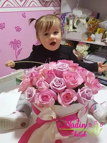 ROZE RUŽE K029