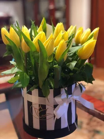 BOX SA ŽUTIM LALAMA 292