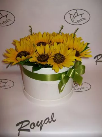 BOX OF FLOWERS SA SUNCOKRETIMA 336