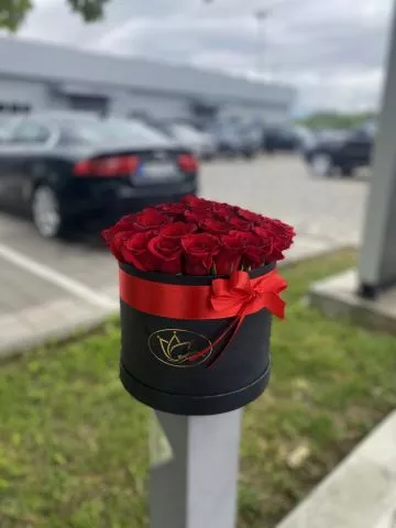 BOX OF FLOWERS 582