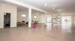 Zemun, Batajnica, Carice Jelene, 1.0, 120m2, 1000EUR