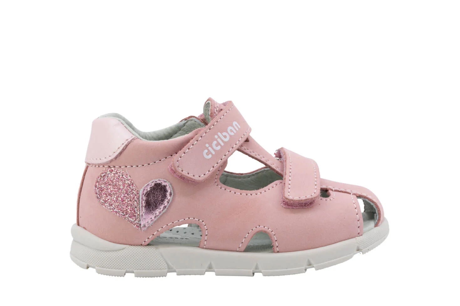 CICIBAN Over 362144 Rosa