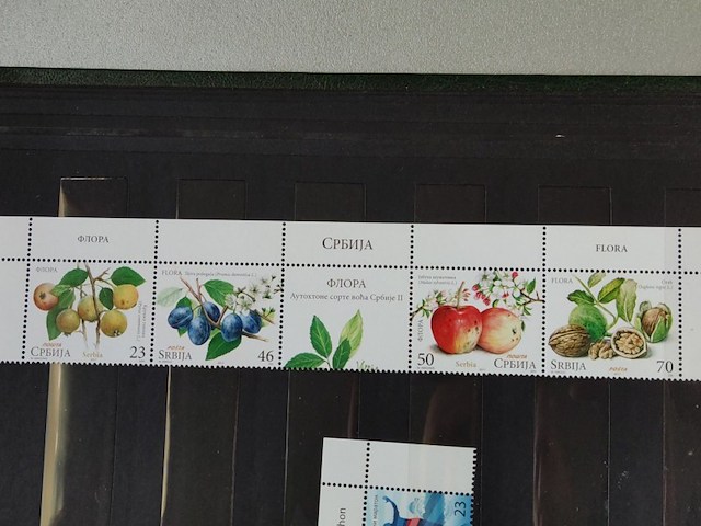 Србија 2017 - воће аутохтоне сорте