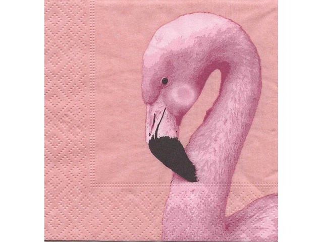 Mala Salveta MS8_039  Ptice Flamingo