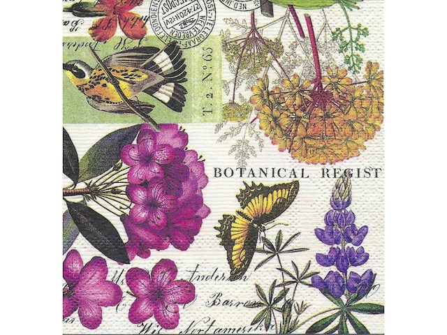 Mala Salveta MS8_267 Cveće Leptiri Ptice