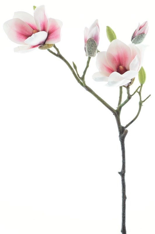 Cvet Magnolia 82cm roze 040079