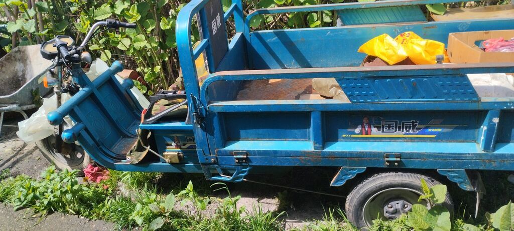 Električna teretna tricikla – otvorena kiper-platforma - Tip vozila