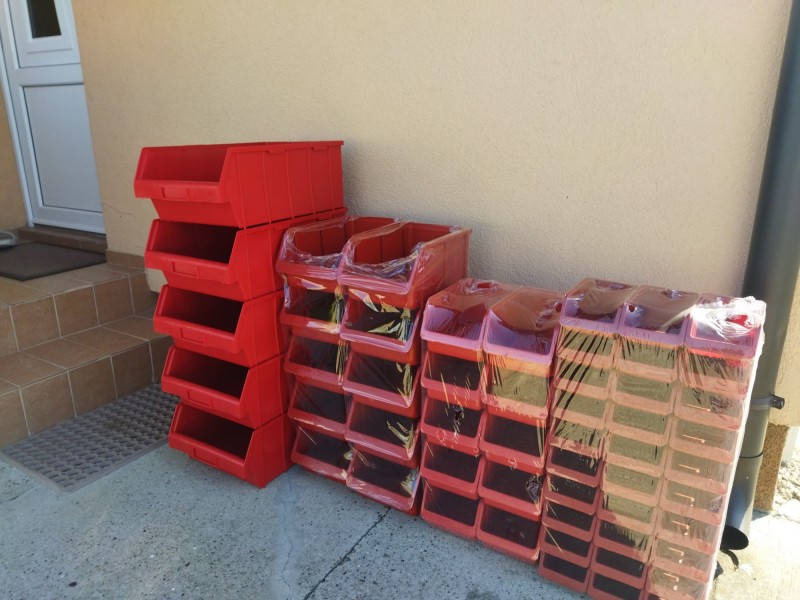 Kontejneri veliki set 5 kom 33x23x15 cm