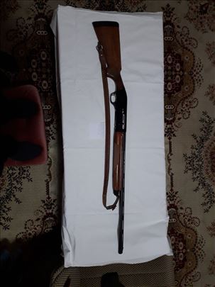 Beneli armi-urbino kal. 20