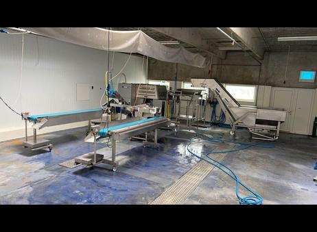 Skinning Baader 176