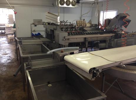 Skinning BAADER 234