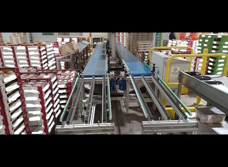 Mašine za hranu Morgante Linea lavorazione UVA