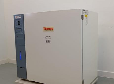 TERMO Steri-Kult 3311 inkubator