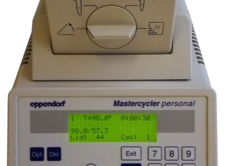 PCR sistem Eppendorf Mastercycler 5332
