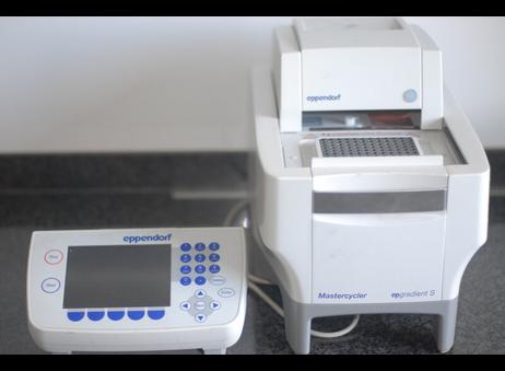 PCR sistem Eppendorf Mastercycler 5332