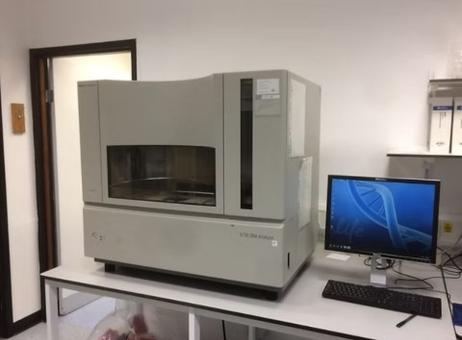 PCR sistem ABI 3730