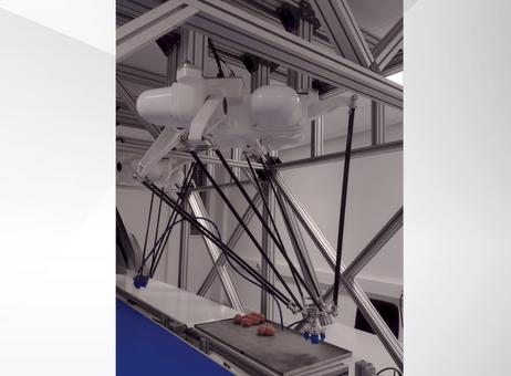 Industrial Robot OMRON Quattro 800HS