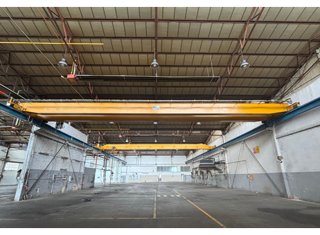Hoister GUTTER 5T MONOTRAVE