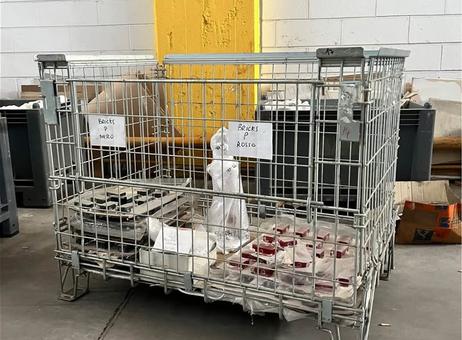Paletni regali LOGISTICA PAGGIOLA GITTERBOX