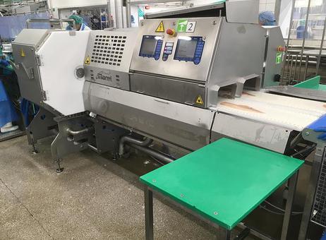 Marel IPM 3 X 600