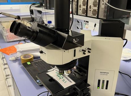 Mikroskop Olympus BX60MF