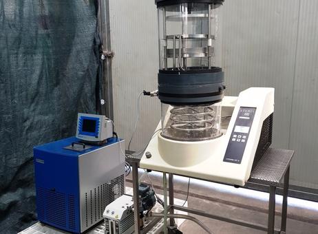 Liofilizator STERIS GT2