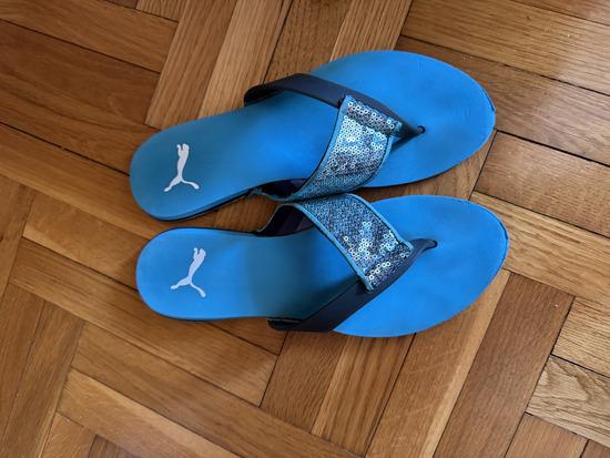 Puma japanke