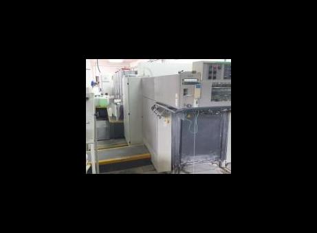 Offset pet boja Roland 305 + LV
