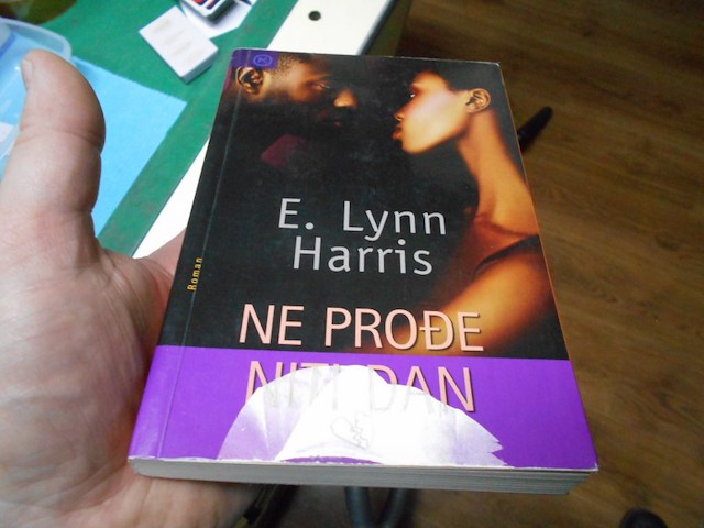 E. Lynn Harris - Ne prođe niti dan
