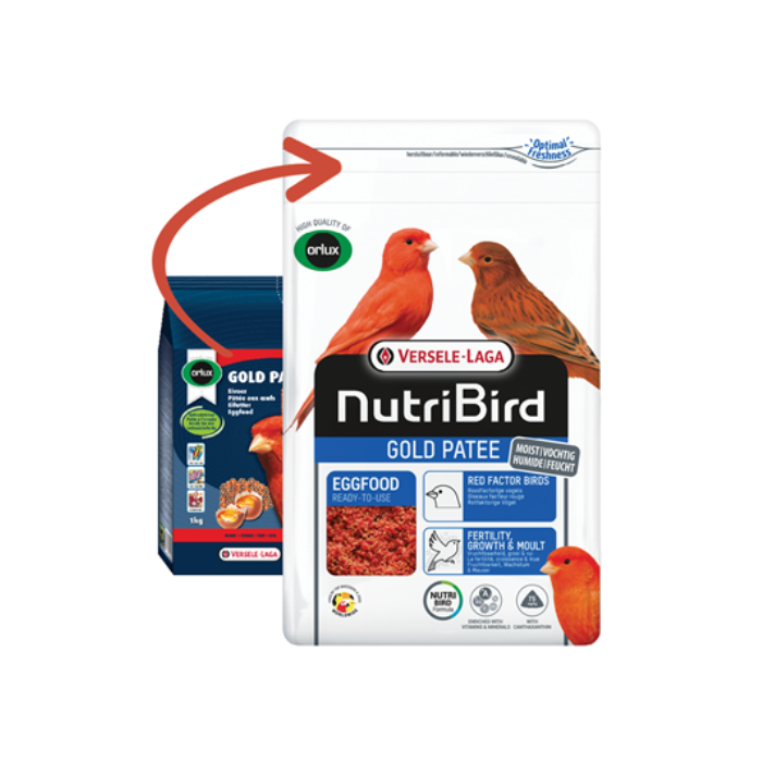 Nutri Bird: Jajčana hrana za kanarince, evropske i tropske zebe Gold Patee Canaries Red
