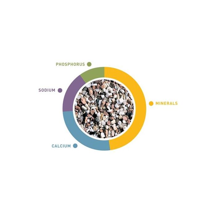 Padovan: Mineralni dodatak za ptice Biogrit, 700 gr
