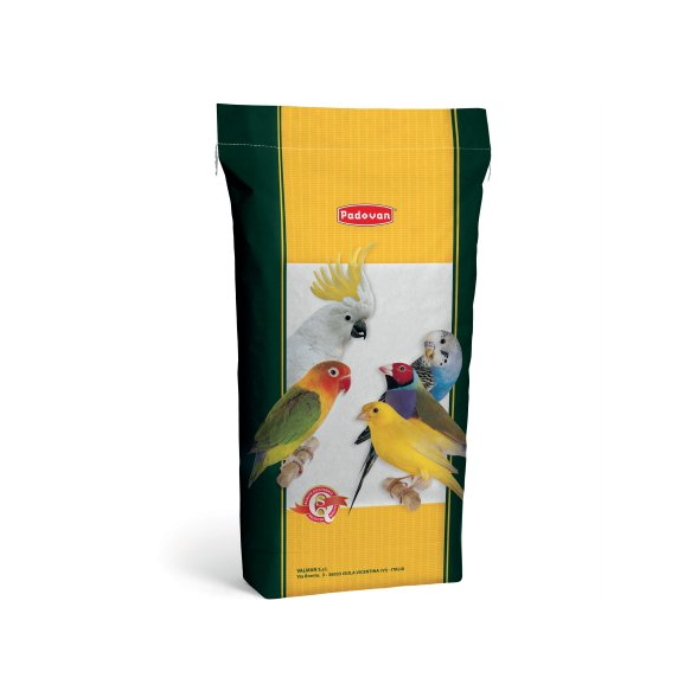 Padovan: Seme kanarske trave Canary Seed, 20 kg