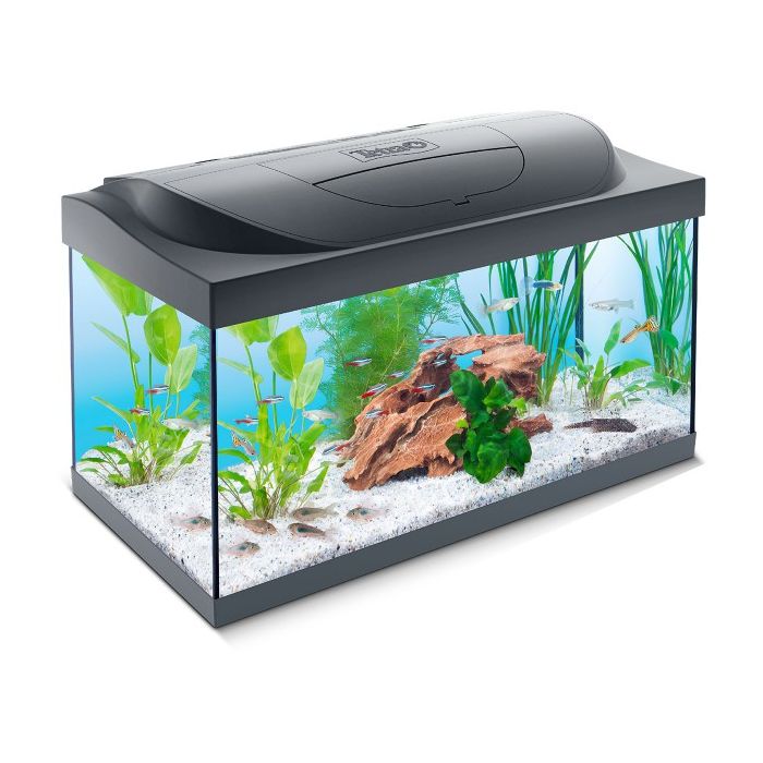 Tetra: LED Akvarijum Starter Line, 54 l