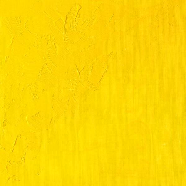 W&N Winton WN WINTON OIL COLOUR 37ML CADMIUM YELLOW LIGHT