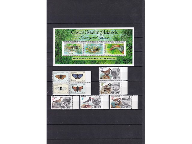 Fauna Lot