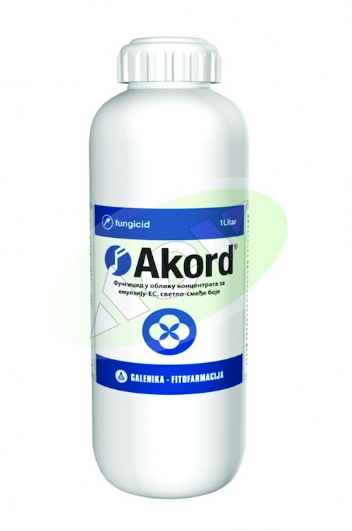 AKORD 1|1