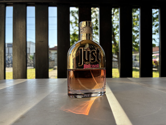 Just Cavalli Roberto Cavalli