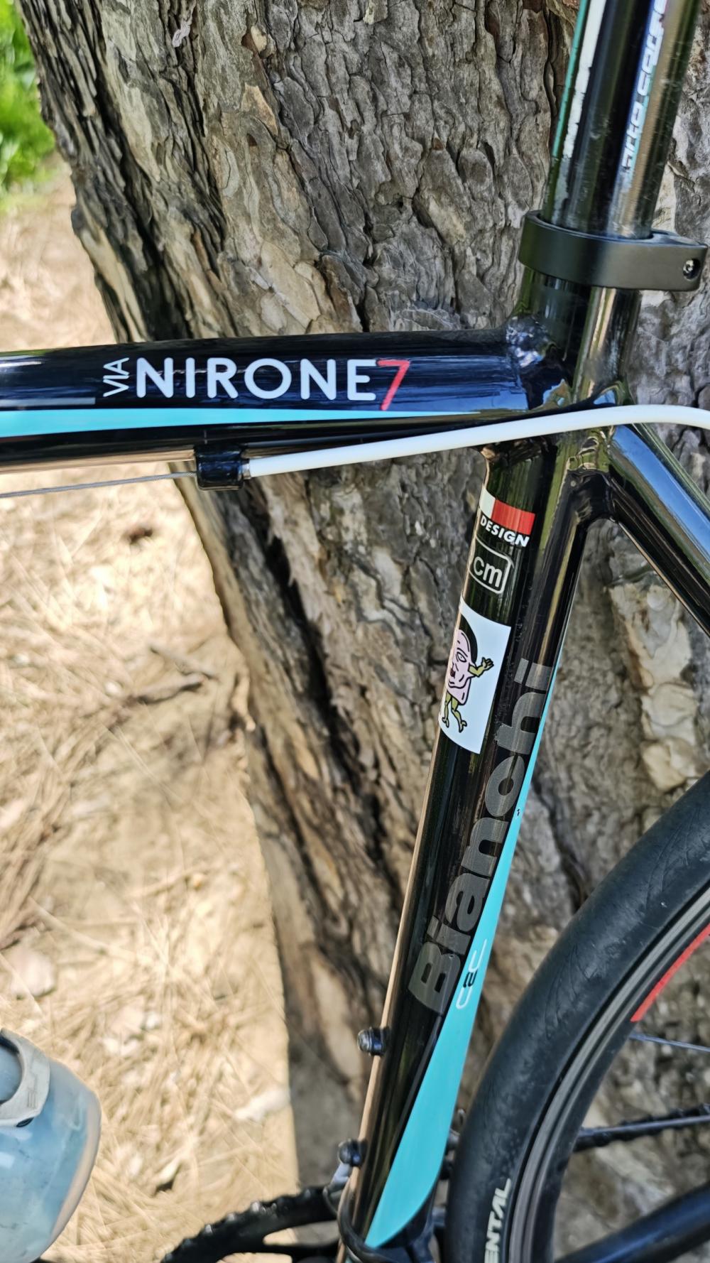 Bianchi Nirone 7