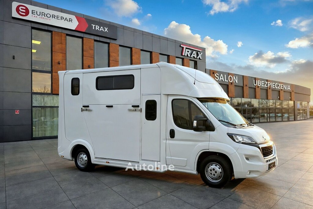 Novi Peugeot BOXER vozilo za prevoz konja