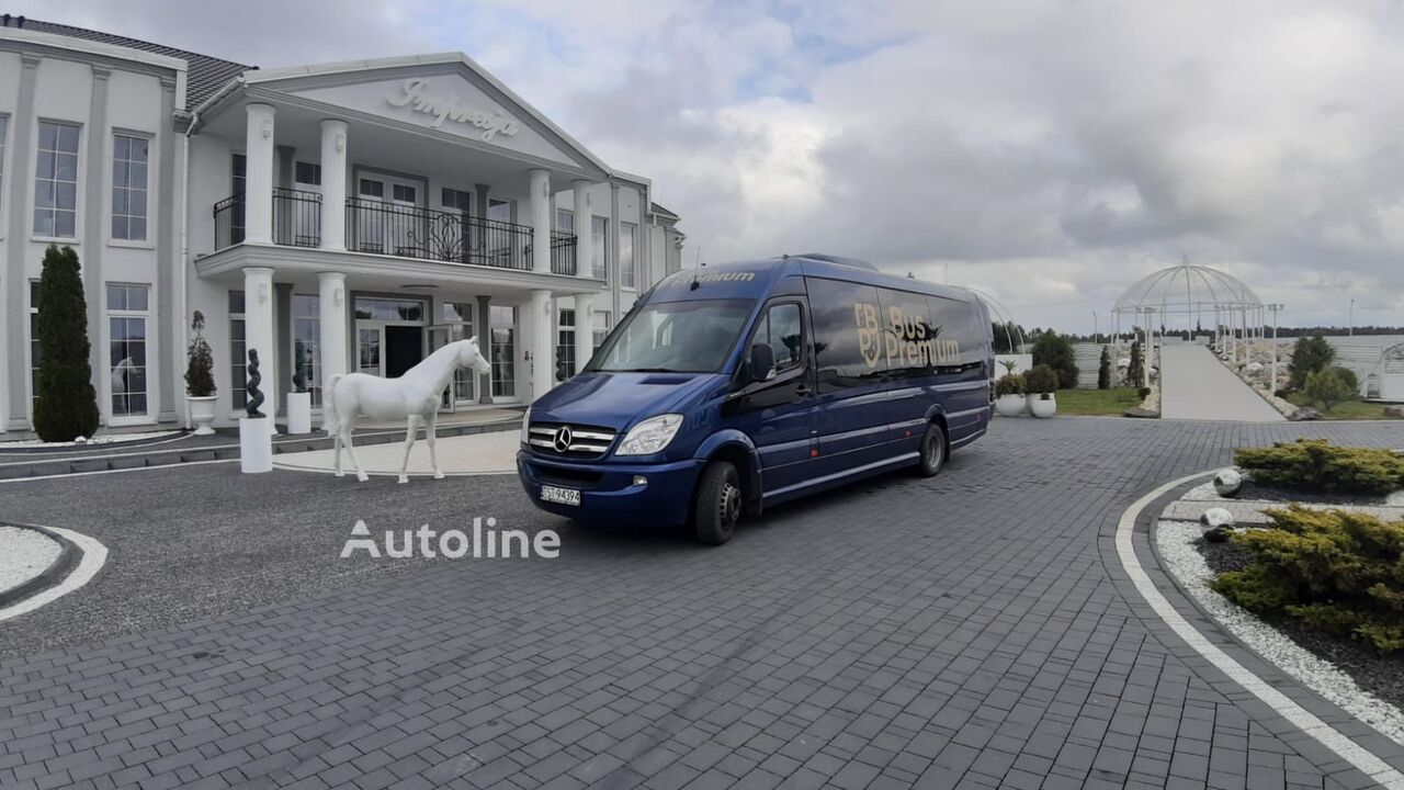 Mercedes-Benz Sprinter putnički minibus