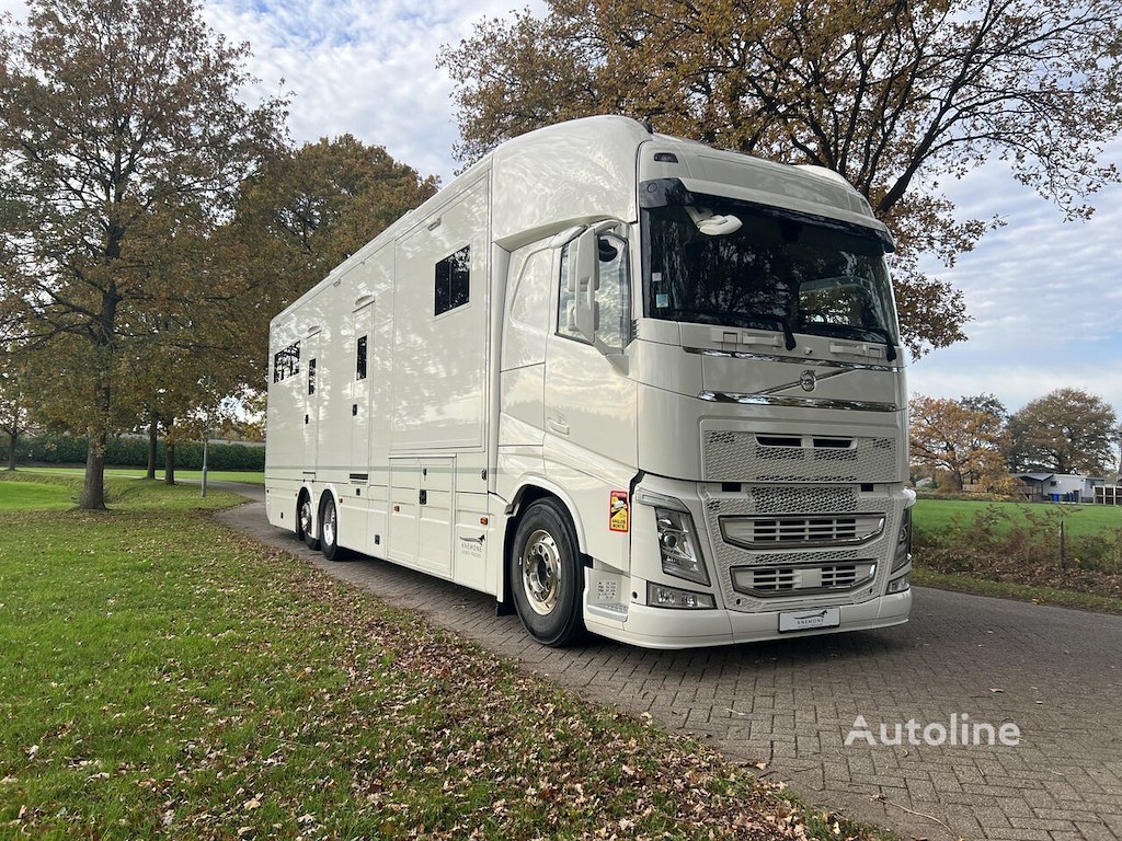 Volvo FH kamion za prevoz konja