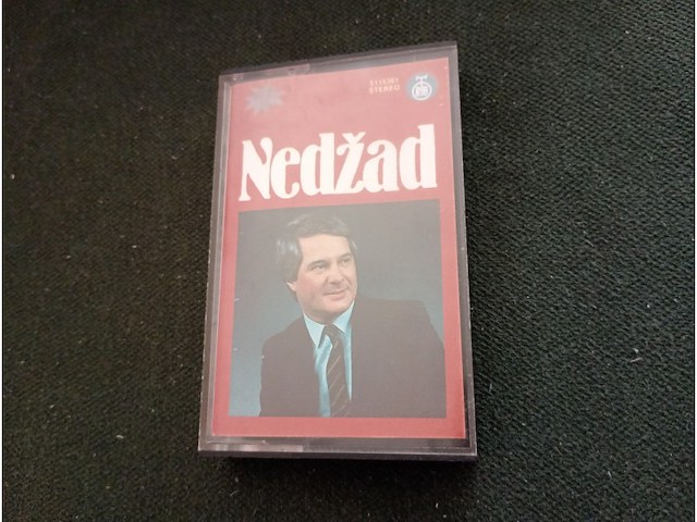 Nedžad Salković Imam samo pjesmu