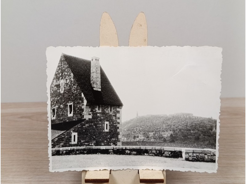 Vintage fotografija Stari dvor Madjarska