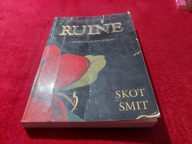 Ruine Skot Smit